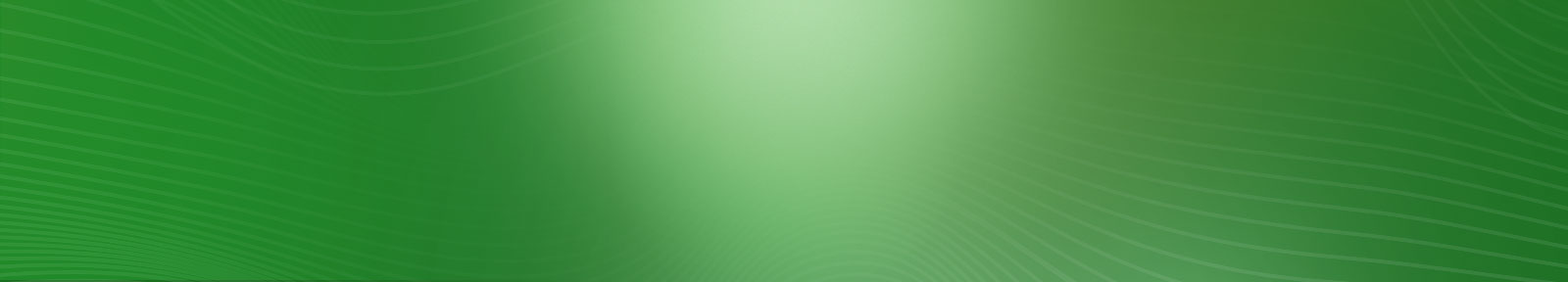 Career | Sierra Palm